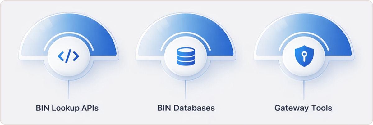 BIN Data Guide: Lookup, Routing & Fraud Prevention Tips
