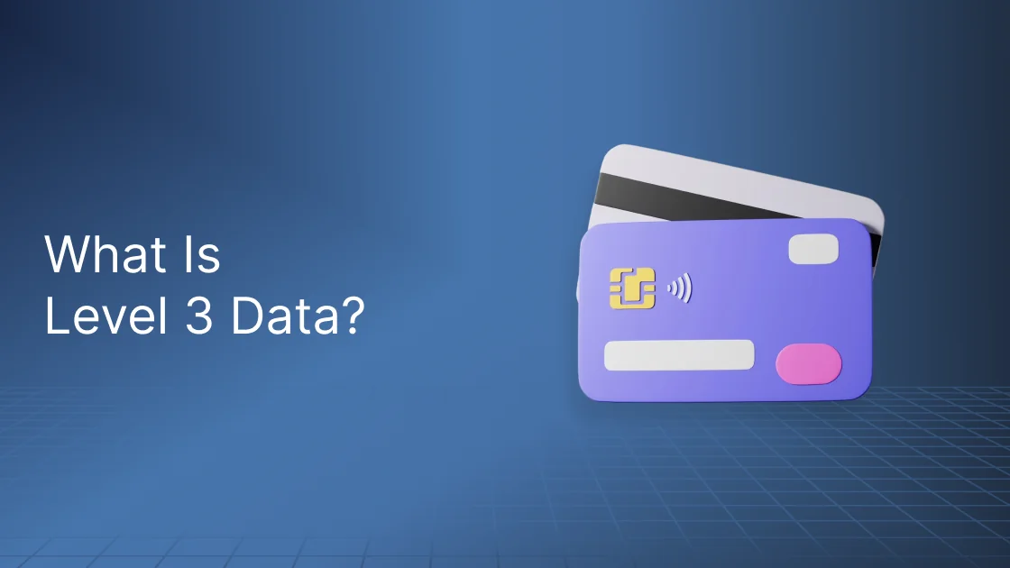 What Is Level 3 Data? Requirements & Visa CEDP 2026