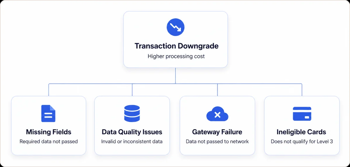 What Is Level 3 Data? Requirements & Visa CEDP 2026